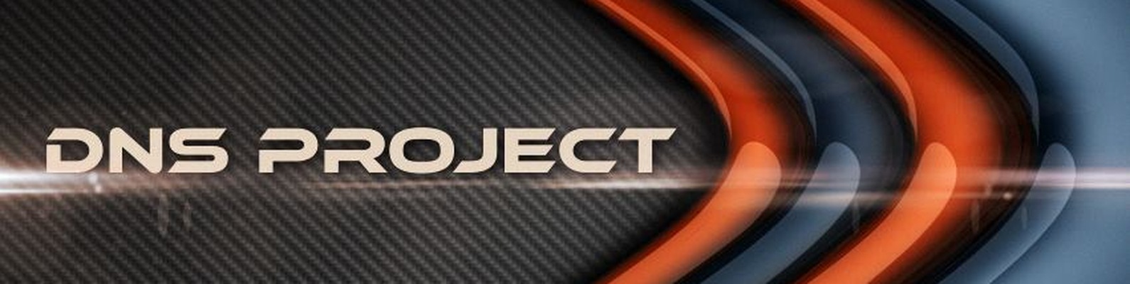 DNS Project | Rene Pais was born on the 25th of March, 1988 in a small ...